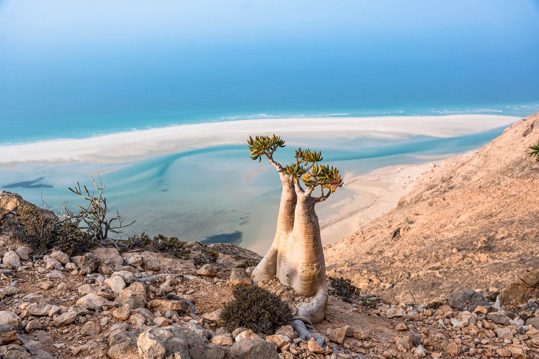 Socotra Round 4 in November – Against the Compass Expeditions